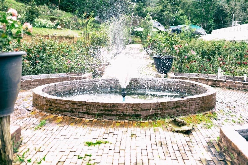 Water Fountain in Rose Garden Stock Photo - Image of garden, petal ...