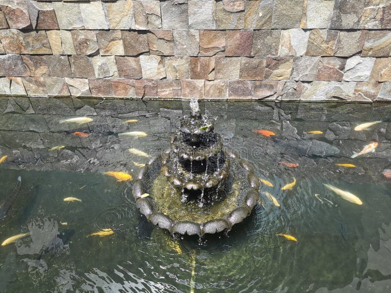 Water Fountain Surrounded by Koi Fish Stock Photo - Image of fountain ...