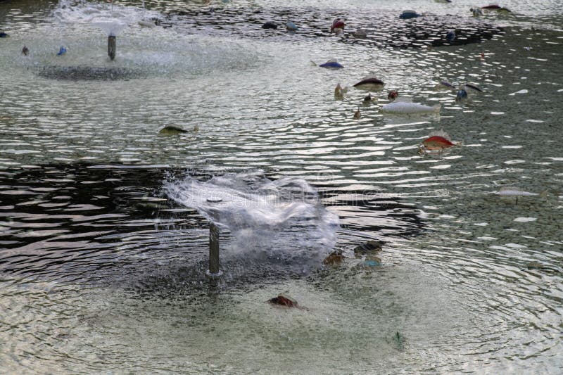 Fountains Spraying Water on the Pond Stock Image - Image of waterfowl ...