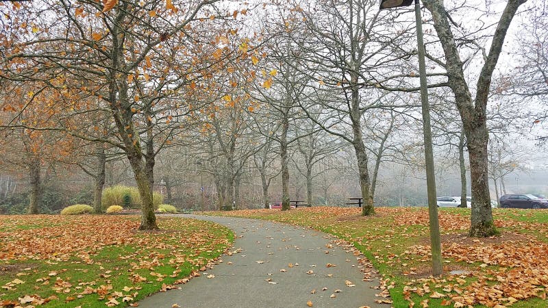 Water Front Park at Ruston Tacoma 8 Stock Photo - Image of autumn ...