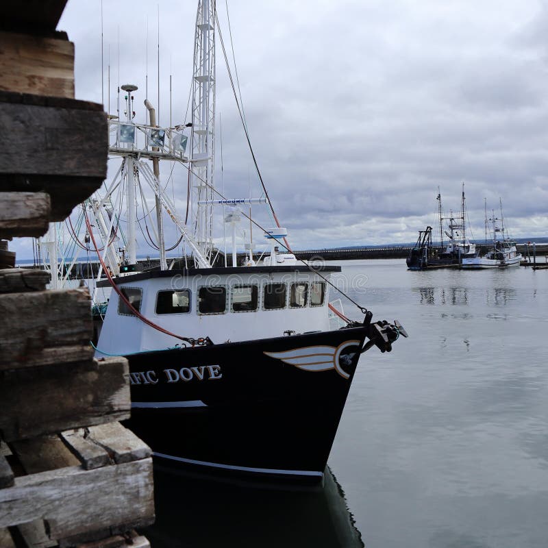 On the Water Front ! Washington State Editorial Photo - Image of ...