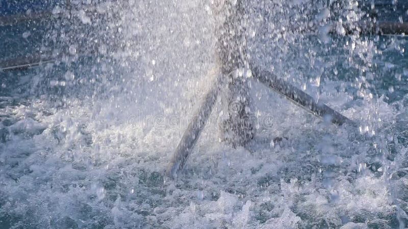 Water froth fountain stock video. Video of lively, spray - 76369151