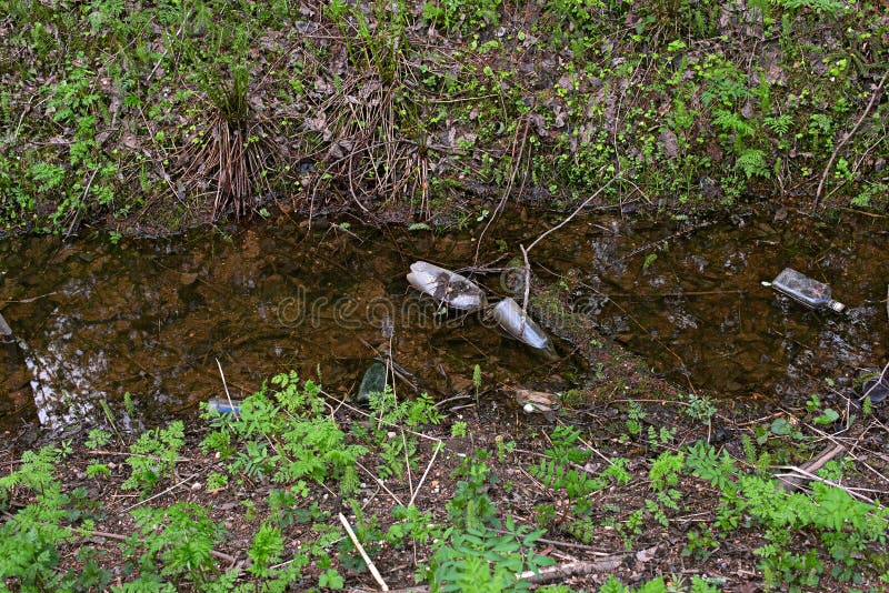 Ditch with Garbage in the Forest Stock Image - Image of cleaning ...