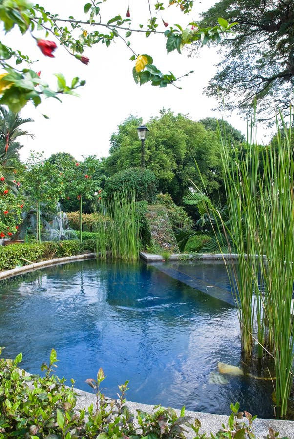 114,298 Water Garden Scene Stock Photos - Free & Royalty-Free Stock ...