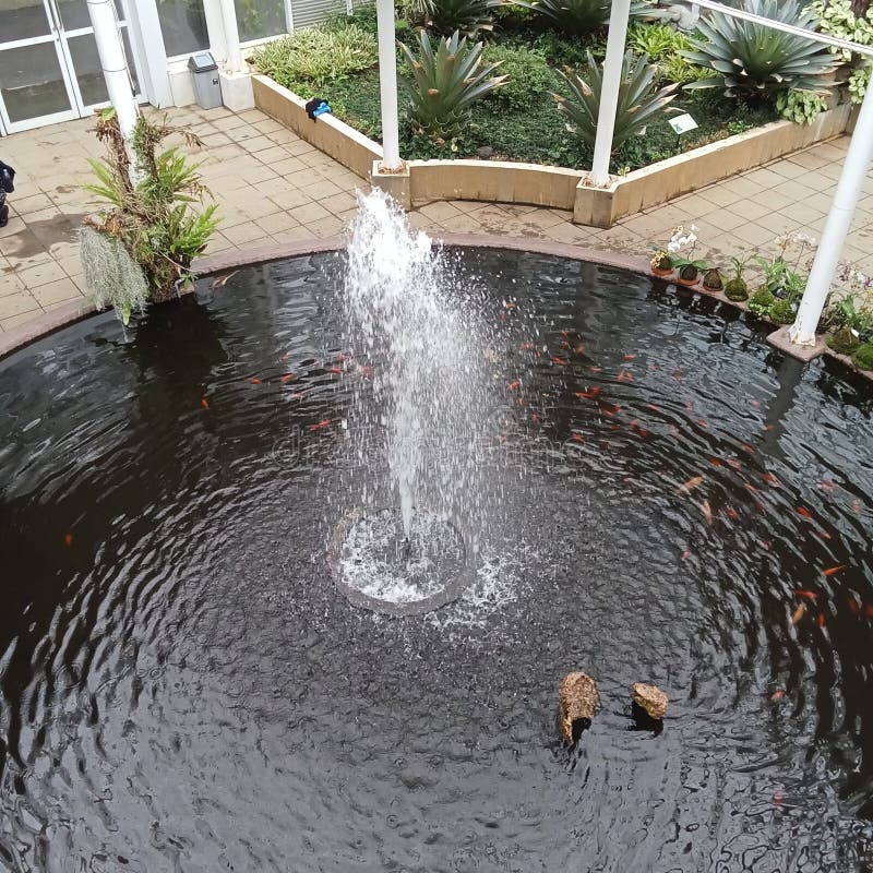 Fish Pond and Water Fountain Stock Photo - Image of water, watercourse ...