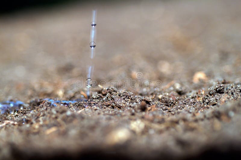 Water from a Garden Sprinkler Falling and Drops Bouncing Off the Soil ...
