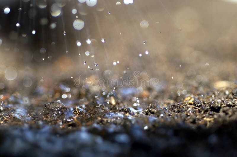 Water from a Garden Sprinkler Falling and Drops Bouncing Off the Soil ...