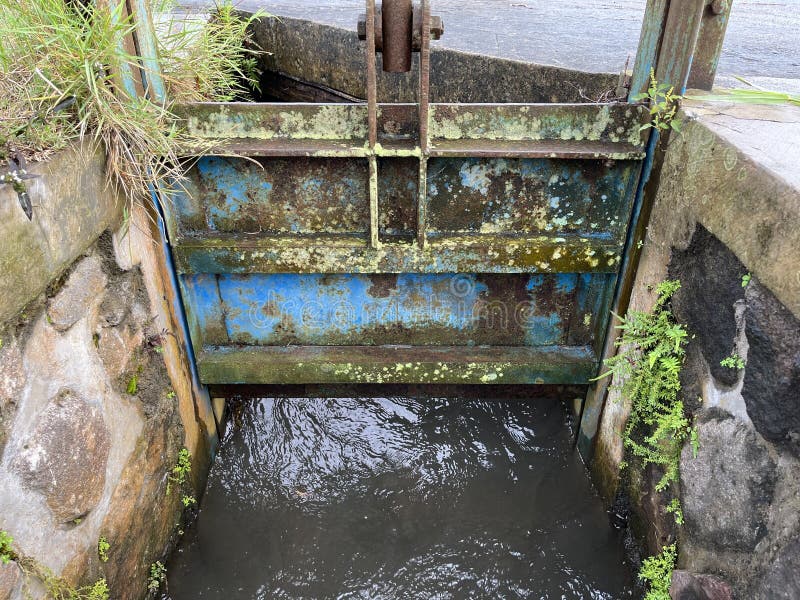 Water Gate Irrigation To Adjust the Flow of Water Stock Image - Image ...