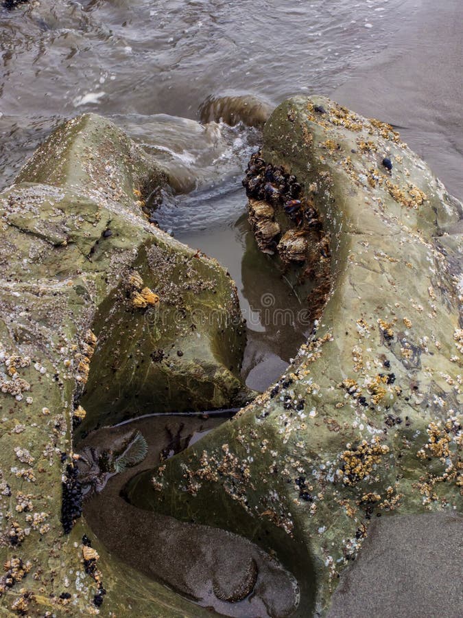 Water gesneden rotsen stock foto. Image of olympisch - 56828174