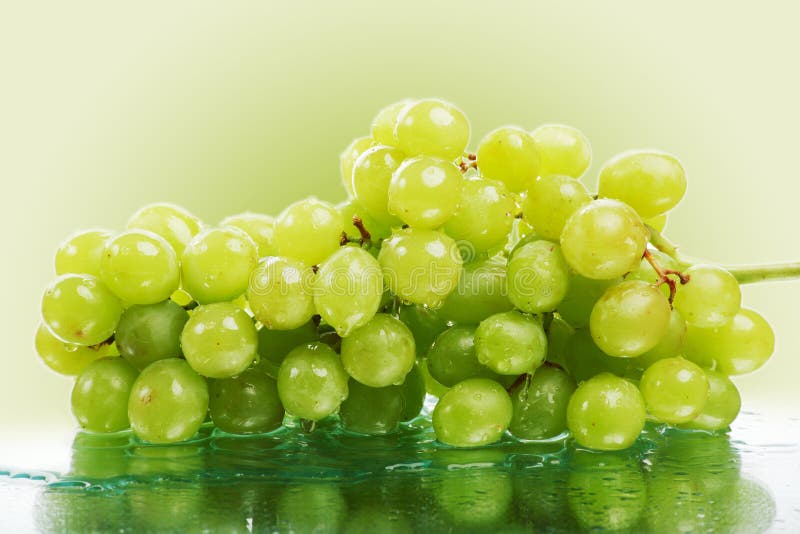 Wet grapes II stock image. Image of green, fruit, delicious - 166565