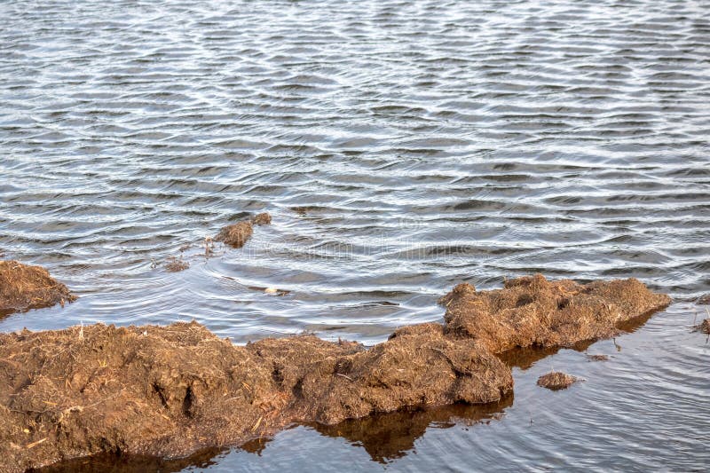 .water with Gray Waves and Brown Rocks Stock Image - Image of boating ...