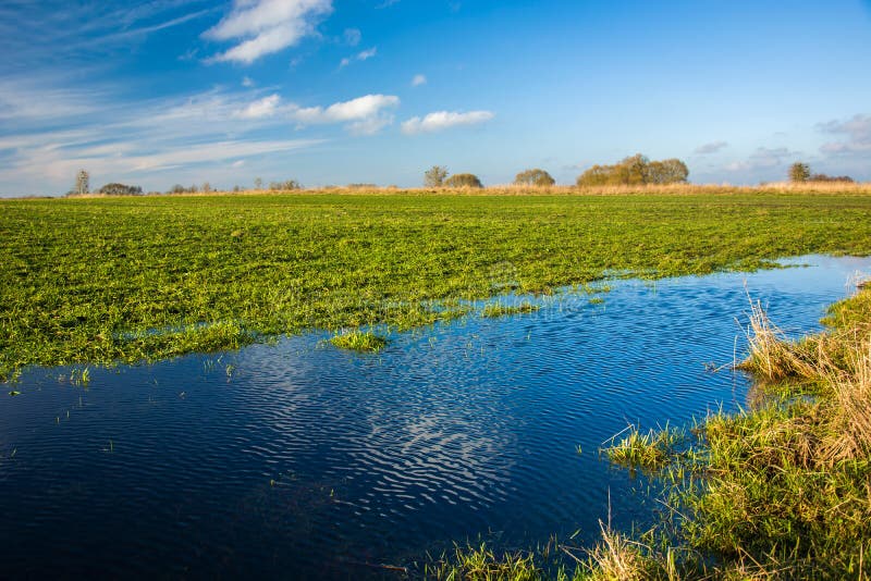 Water on a green field stock image. Image of season - 130961323