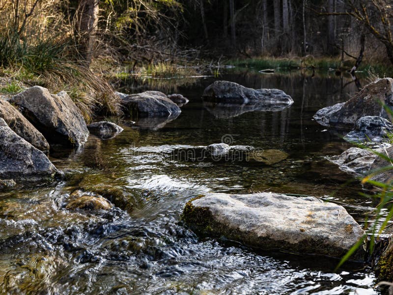 Stream in the Forest on a Glade. Stock Image - Image of waterfall ...