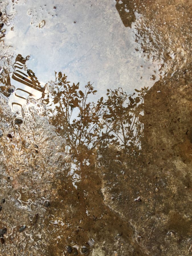 Water on the Ground after Rain Stock Image - Image of natural, ground ...