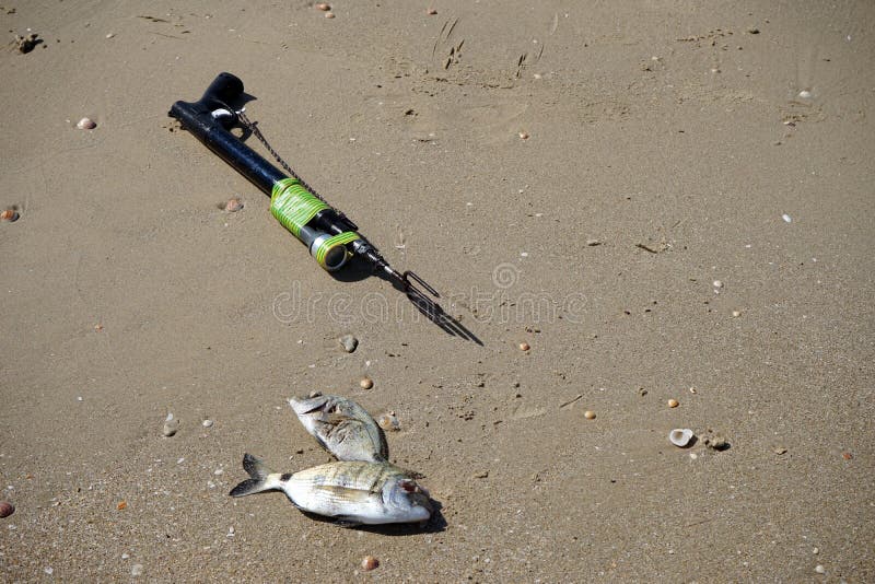 Water gun stock photo. Image of beach, coast, sharp, israel - 49011994