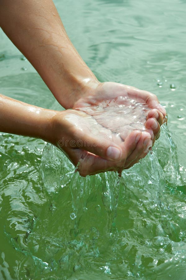 Small tree in planting bag stock photo. Image of environment - 33480766