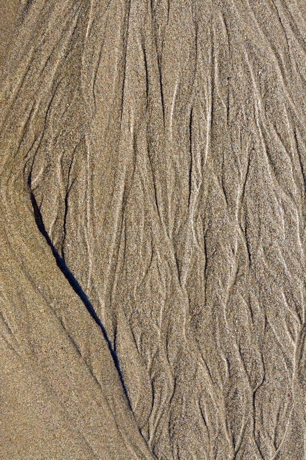 Sand Patterns, Water Receding Stock Photo - Image of tidal, ocean ...