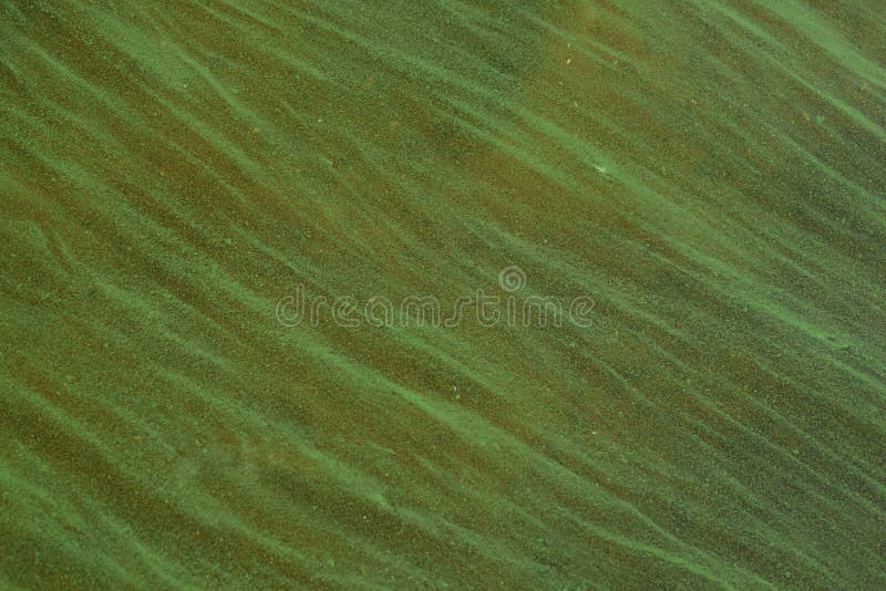 Water with a High Concentration of Blue-green Algae Stock Photo - Image ...