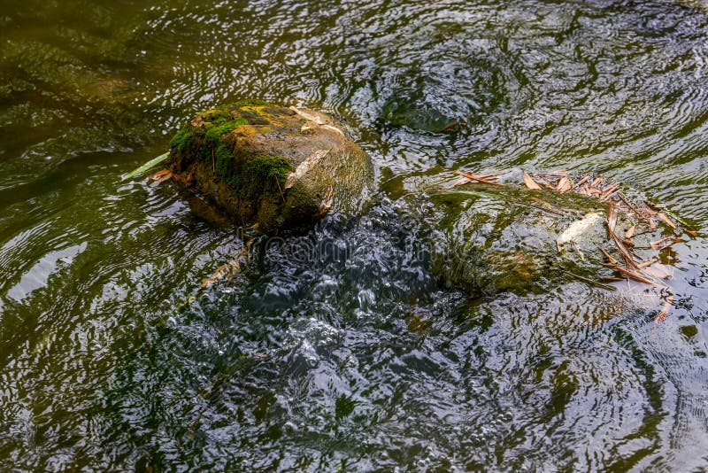 The water hit the stone stock image. Image of winter - 289739837