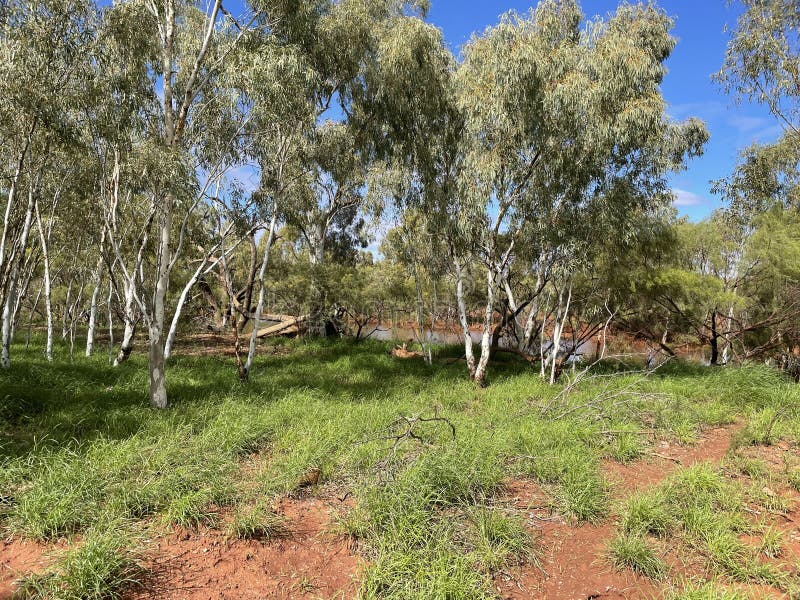 A Water Hole in the Australian Outback Stock Photo - Image of outback ...