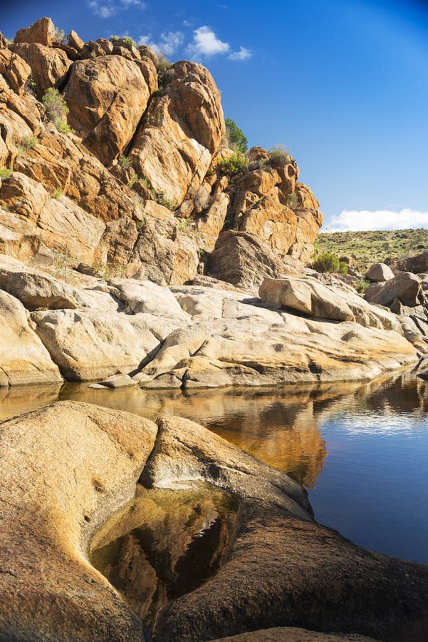 Outback Lake stock image. Image of trees, lake, drought - 27414095