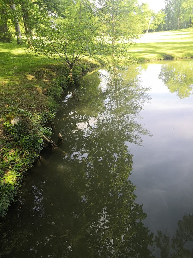 Water Hood Lake Reflect Sun Happy Stock Image - Image of water, tree ...