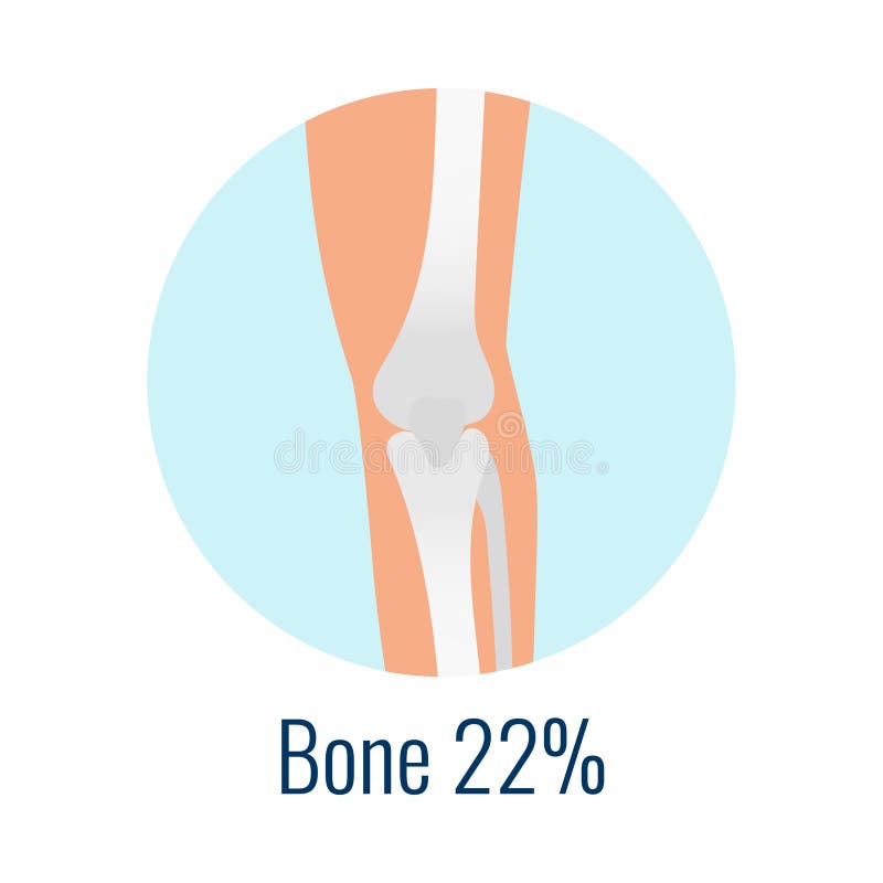Water in Human Bones Icon stock vector. Illustration of functions ...