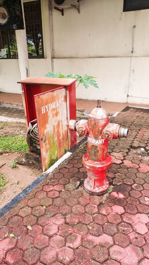 The water hydrant is red stock photo. Image of tree - 346748316