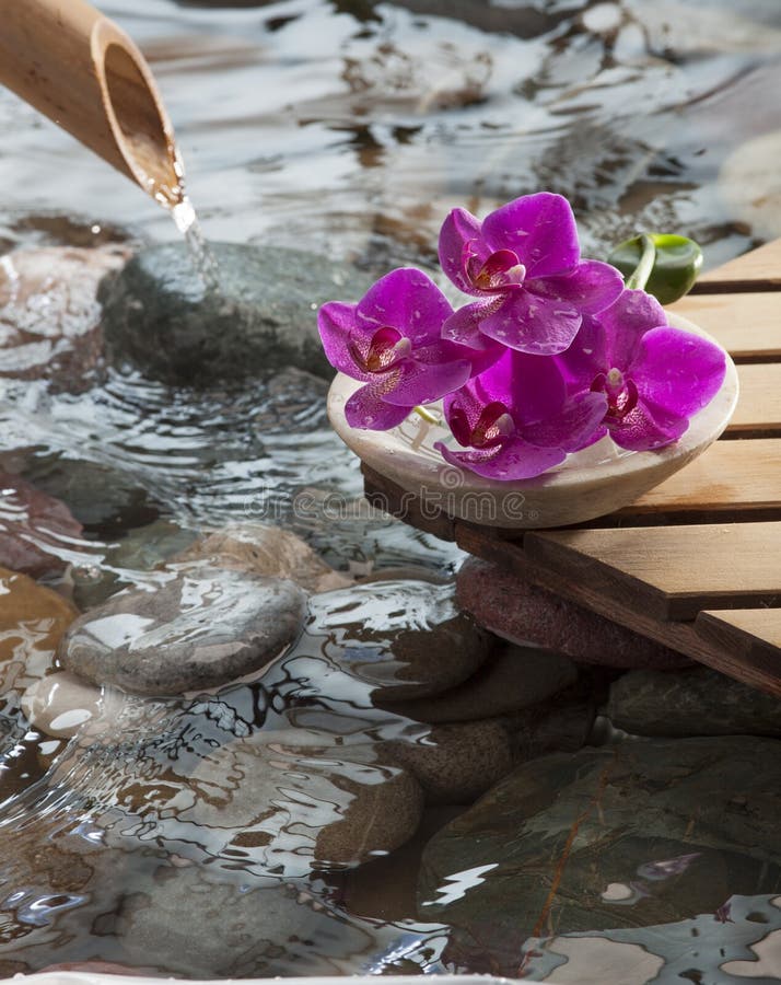 Water Hydration and Beauty Symbol Stock Photo - Image of calmness ...