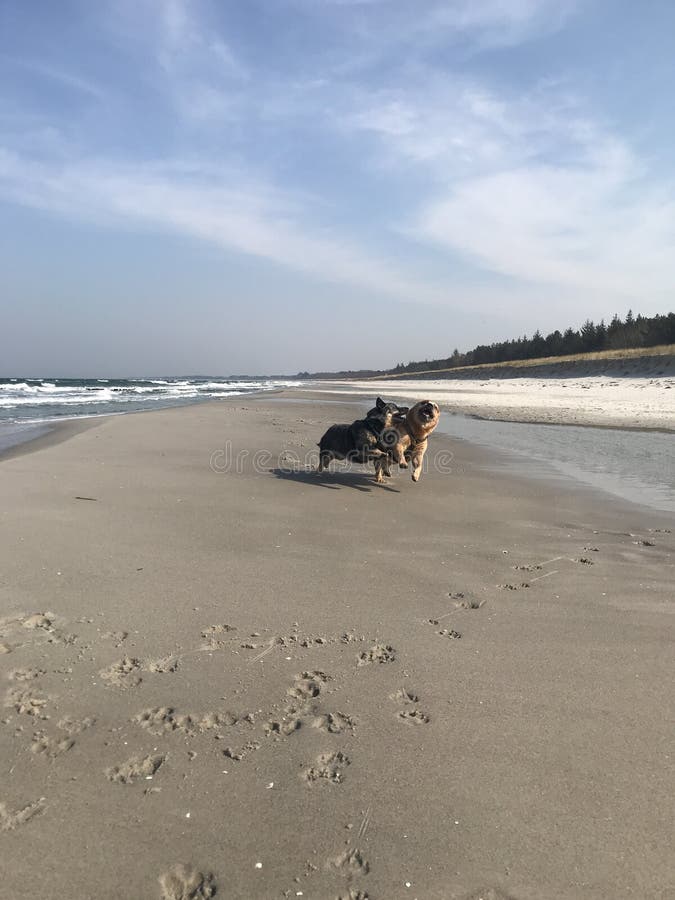 The water impressions stock photo. Image of clouds ...