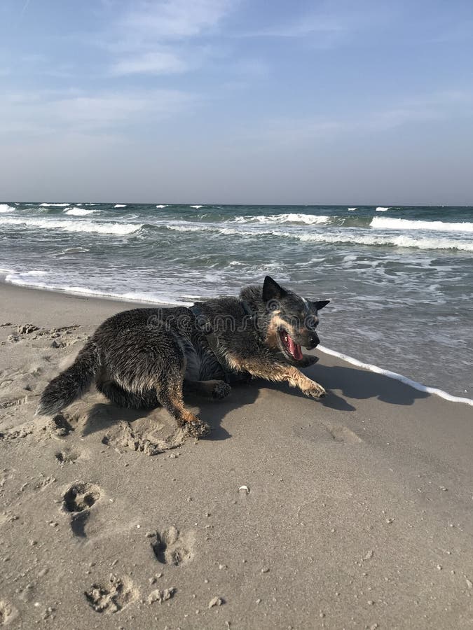 The water impressions stock photo. Image of waves, stimmulated - 144687558