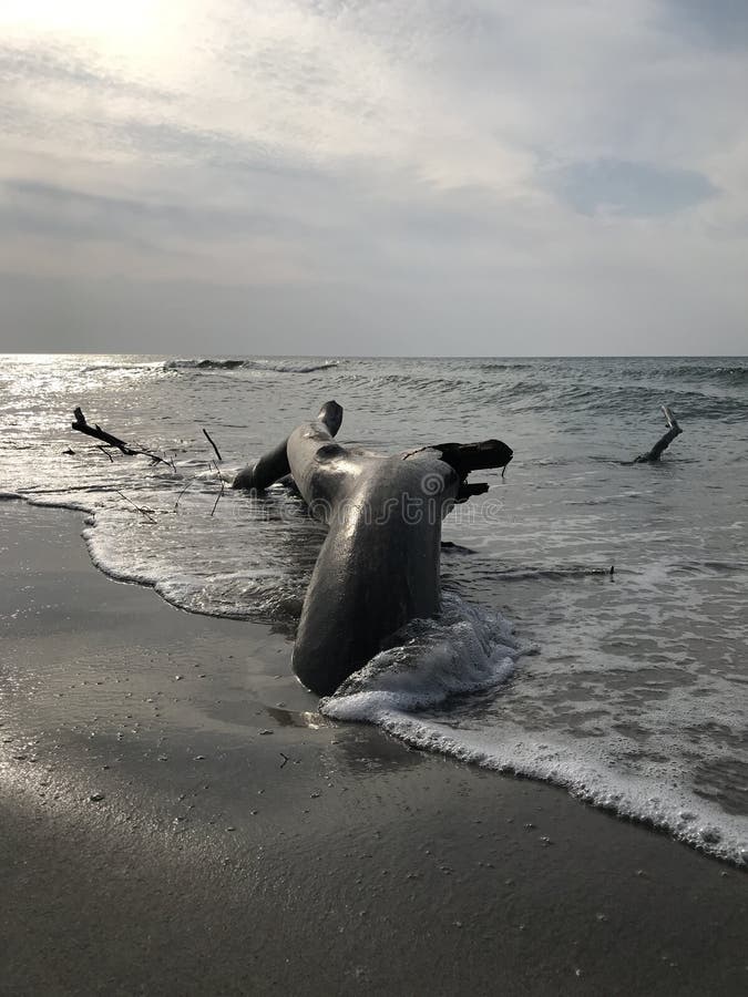 The water impressions stock photo. Image of relaxed - 144690492