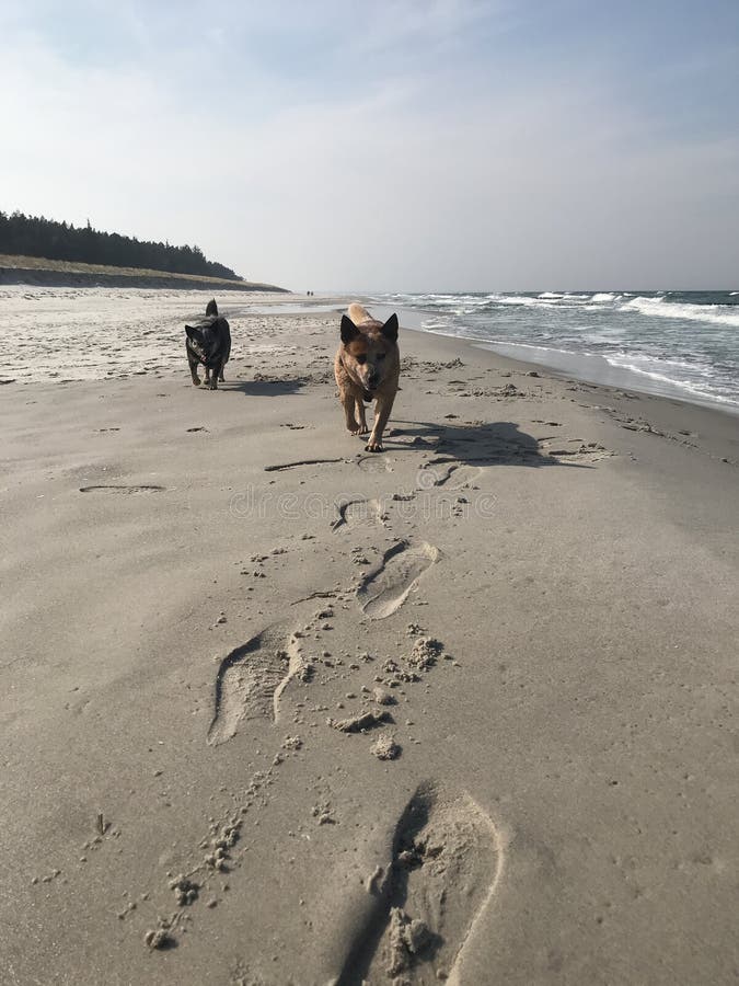 The water impressions stock image. Image of relaxed - 144686291