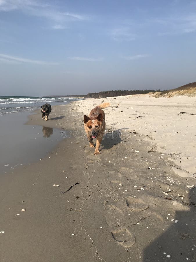 The water impressions stock image. Image of water ...