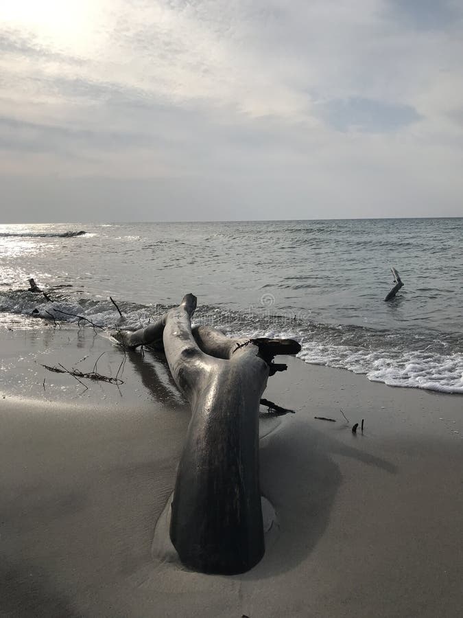 The water impressions stock image. Image of waves, meditation - 144690429