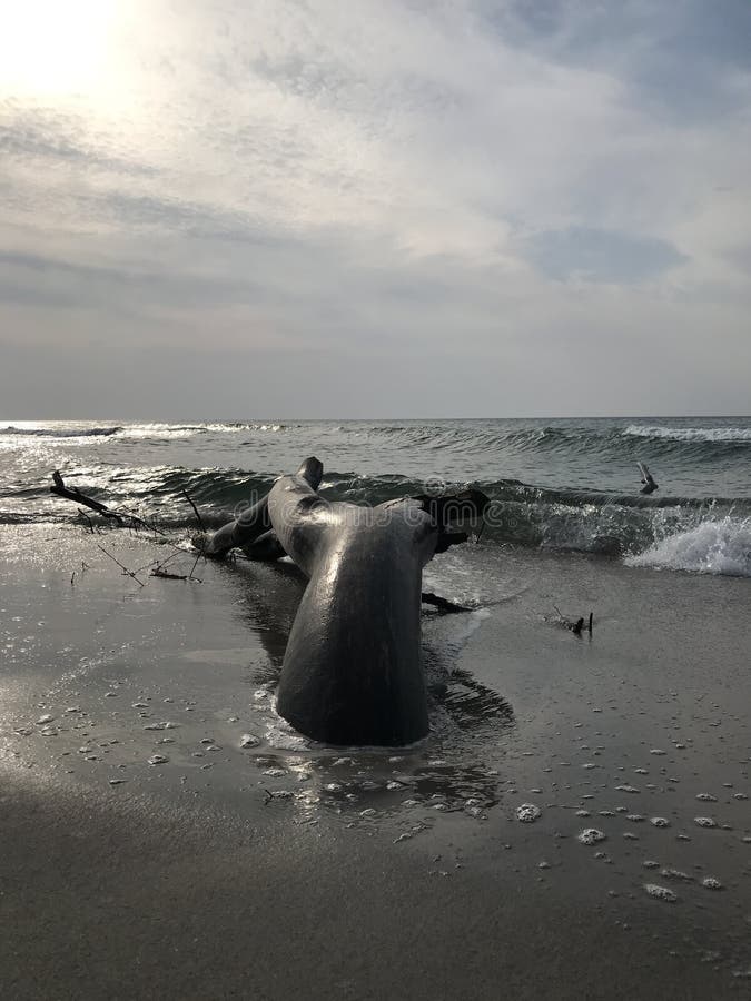 The water impressions stock image. Image of waves ...