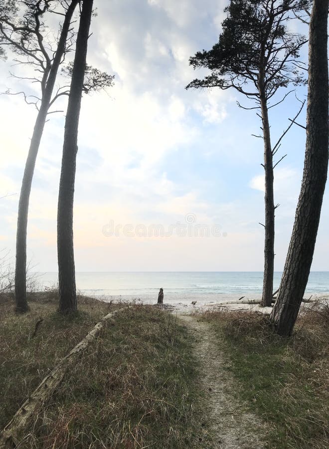 The water impressions stock photo. Image of ozean, coast - 144692456