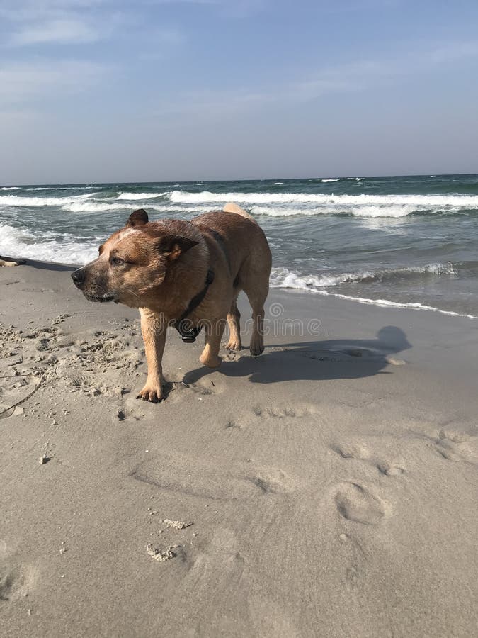 The water impressions stock image. Image of waves, meditation - 144687289