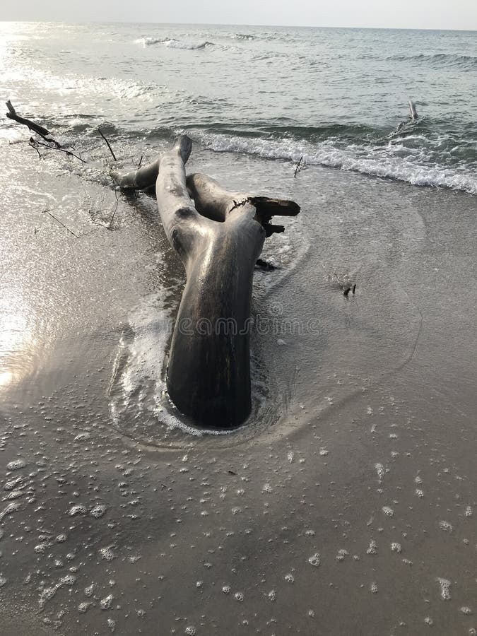 The water impressions stock image. Image of impressions - 144690497