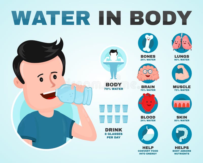 Water in Infographic Lichaam Jonge Mens Vector Illustratie ...