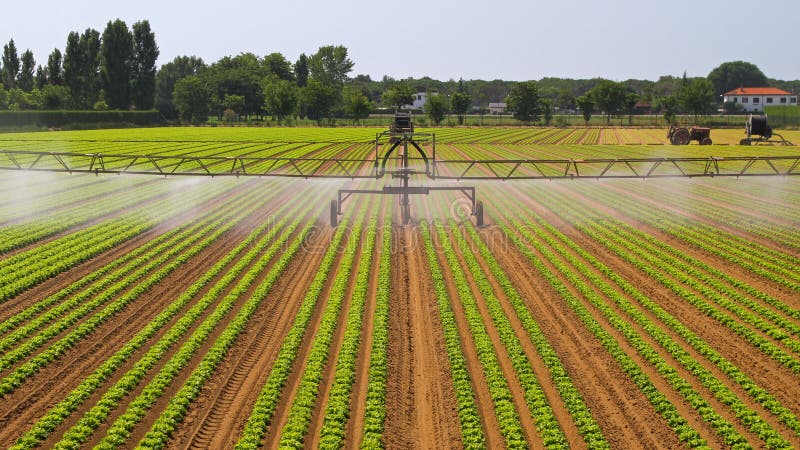 Irrigation Water Open Storage Stock Image - Image of spring ...