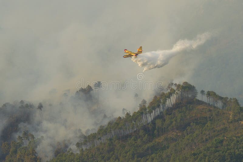 Water jet stock image. Image of plane, bushfire, fire - 12536647