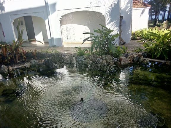 Water Jet Dam for Attractive View Editorial Stock Image - Image of ...