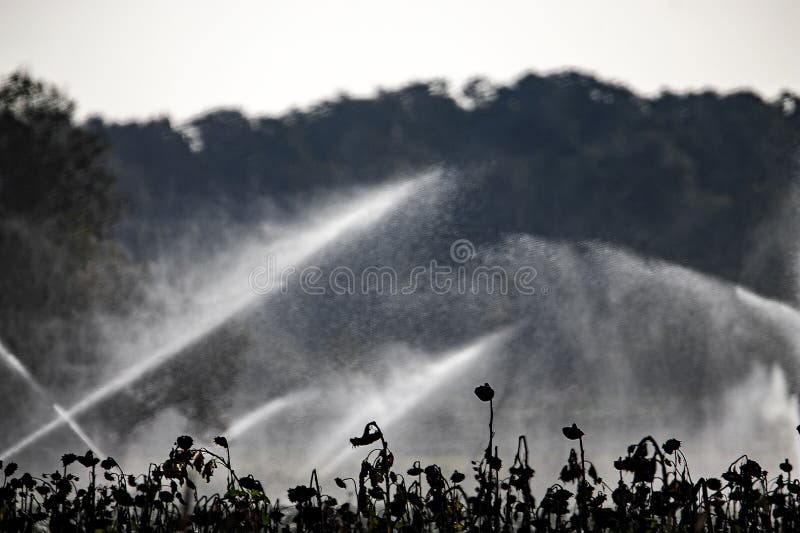 Water Jets from an Irrigation System Over a Field Stock Image - Image ...