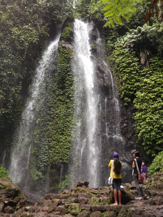 Water Jumog waterfall editorial stock photo. Image of cataract - 42297703