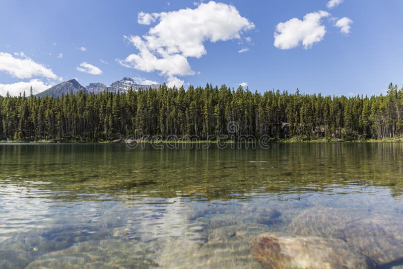Reflections in the water stock image. Image of adventure - 179275369
