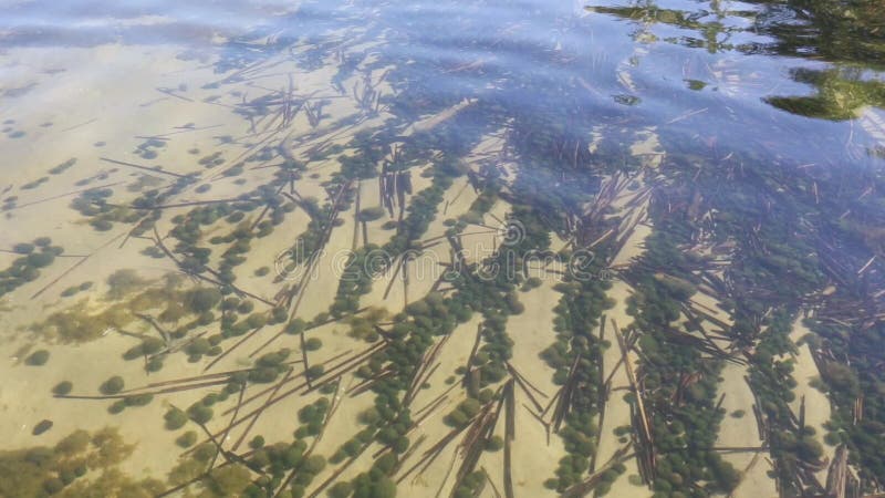 Limpid water stock image. Image of peace, steep, boot - 2373247