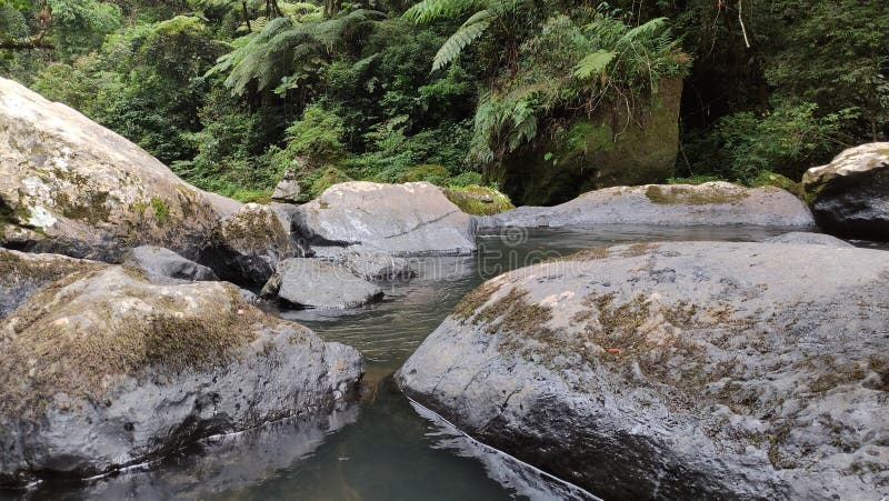 Water Lake with Stones and Forest 01 Stock Image - Image of rapid ...