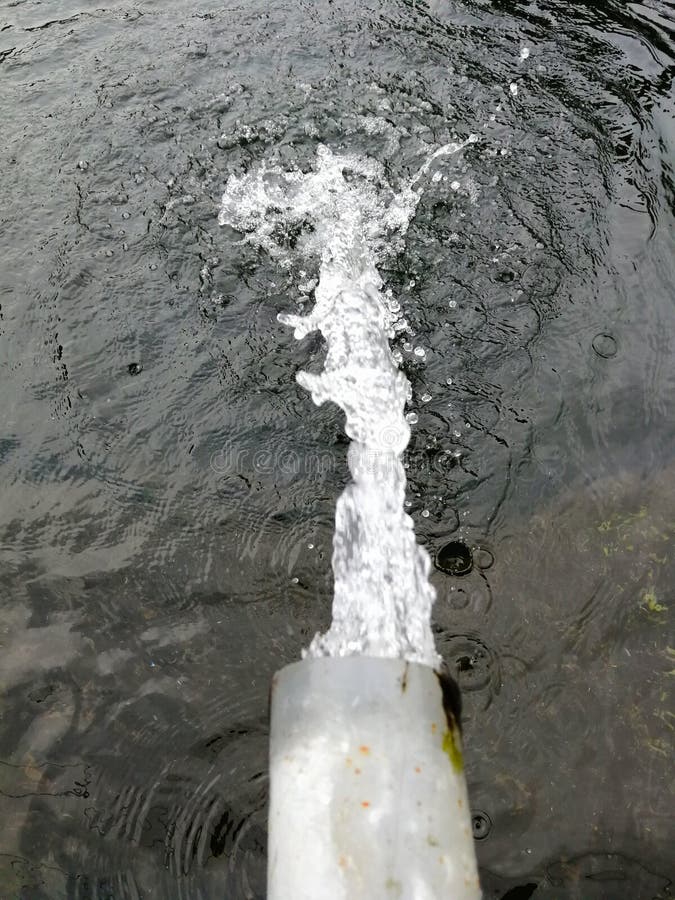 Water in a lake stock image. Image of water, lake, plants - 130711877