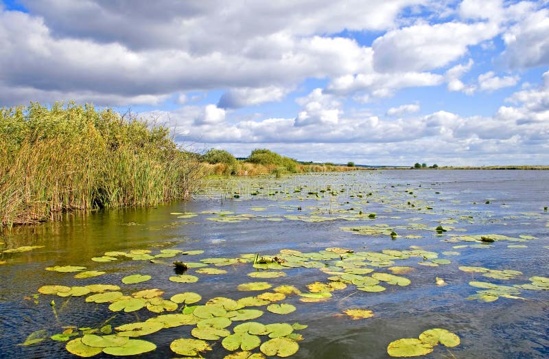 Water landscape stock photo. Image of river, picturesque - 4466460
